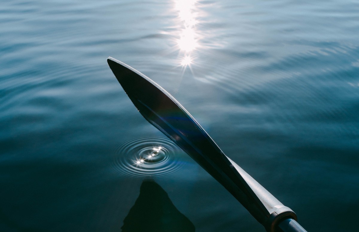 Retours – Le retour du Flying Bum